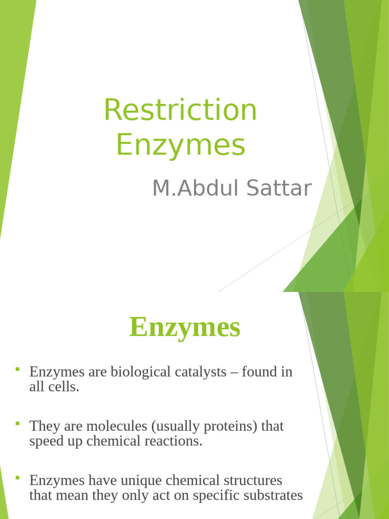 Understanding Restriction Enzymes | PDF | Restriction Enzyme | Dna