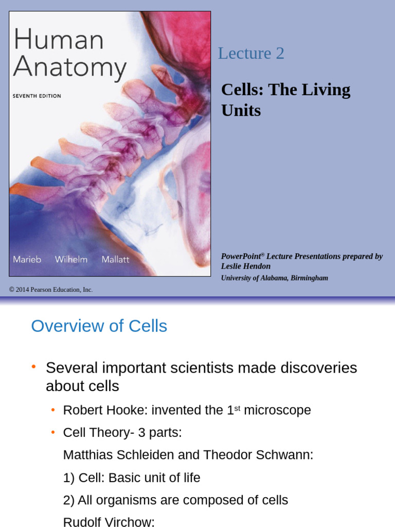 Overview of Cell Structure and Function | PDF | Cell Membrane ...