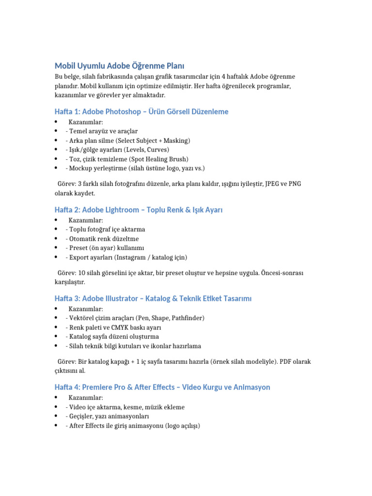 Adobe Ogrenme Plani Mobil | PDF