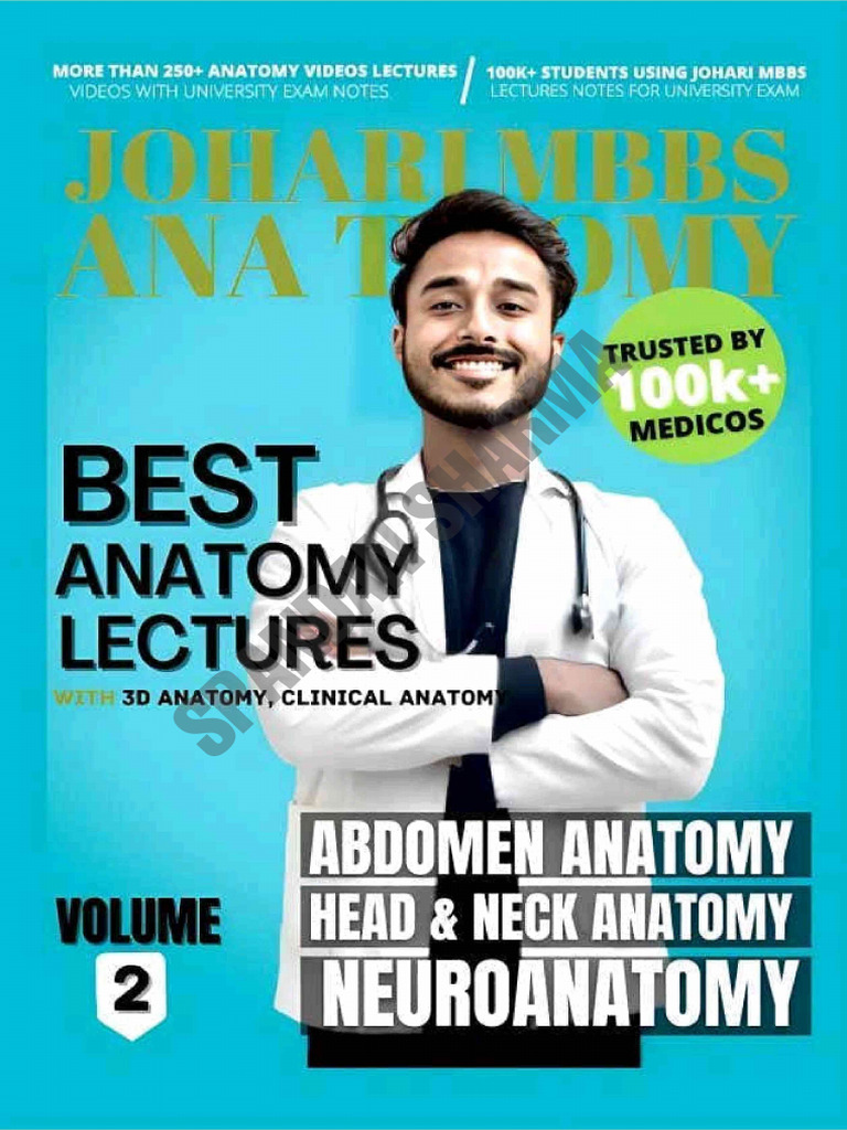 Abdomen Anatomy: Key Organs & Structures | PDF | Stomach | Abdomen