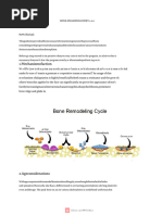 Full Face Bonesmashing Guide | PDF