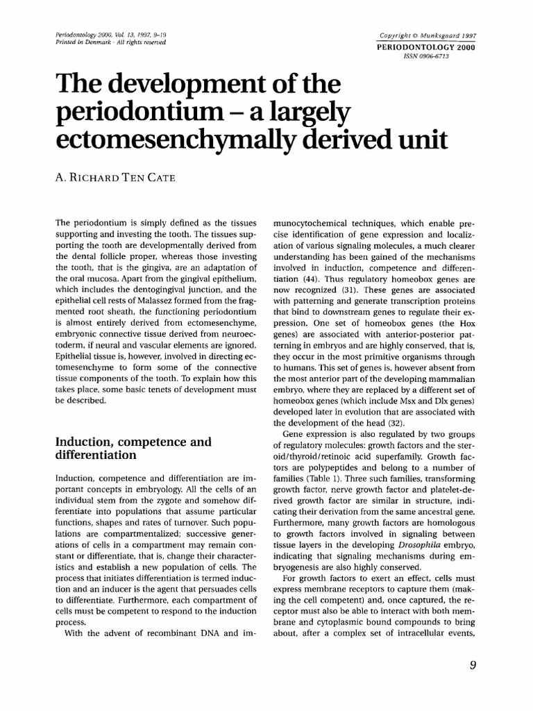 The Development of The Periodontium | PDF | Human Tooth | Periodontology