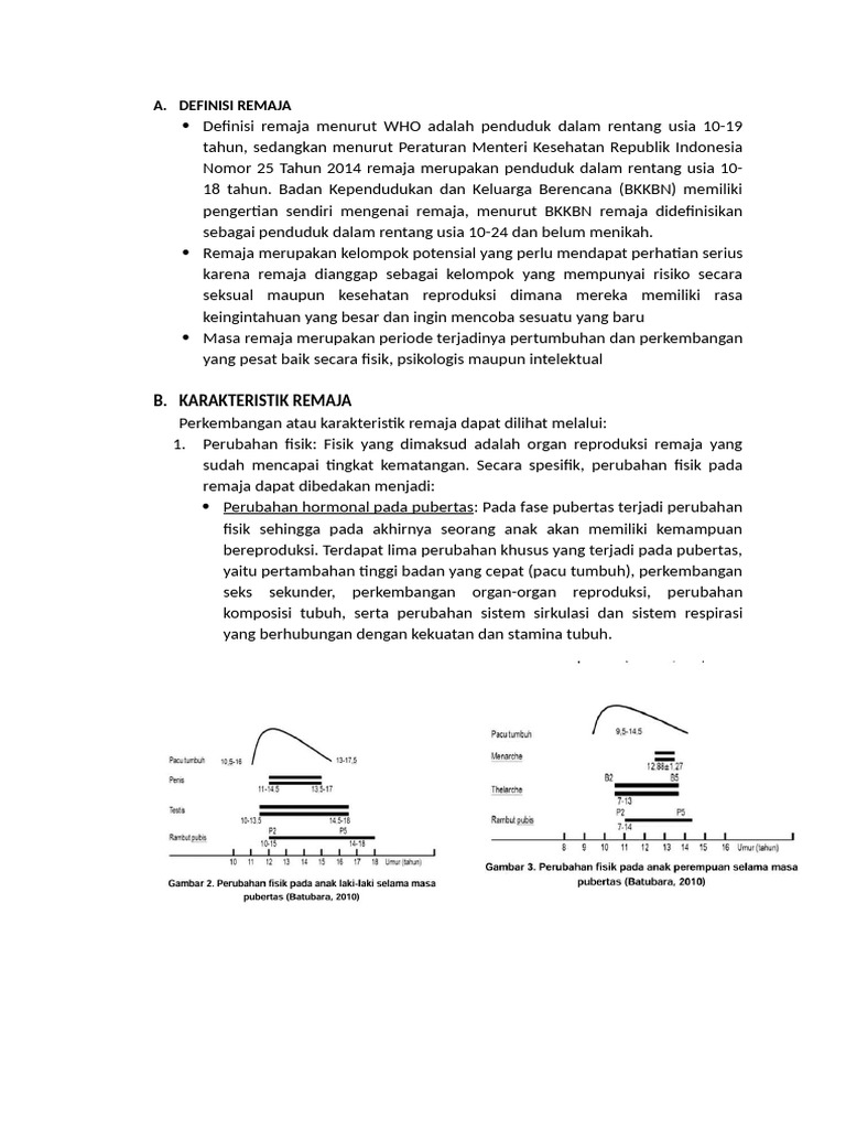 Kesehatan Remaja dan Program PKPR | PDF