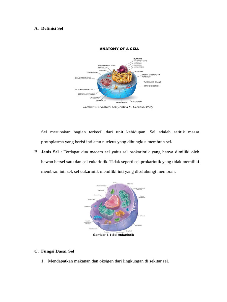 Struktur dan Fungsi Sel dalam Biologi | PDF
