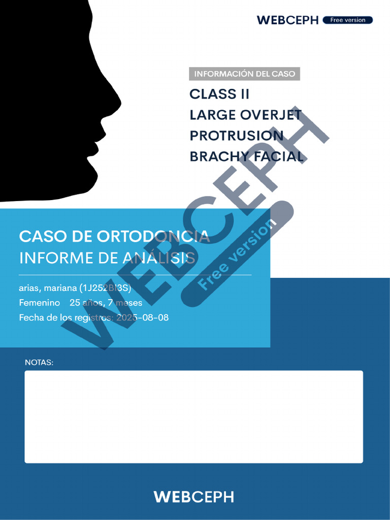 1J252BI3S 20250808 Analysis Report | PDF