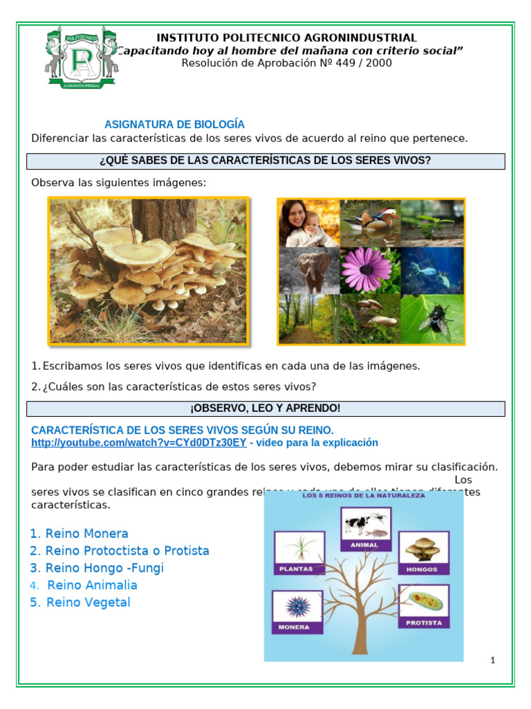 Características de los Reinos de Seres Vivos | PDF | Energía renovable ...