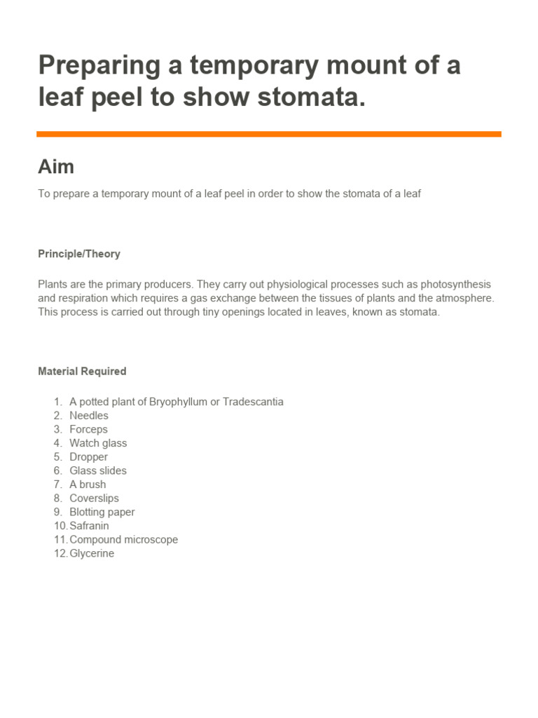 Leaf Peel Mounting for Stomata Observation | PDF | Leaf | Stoma