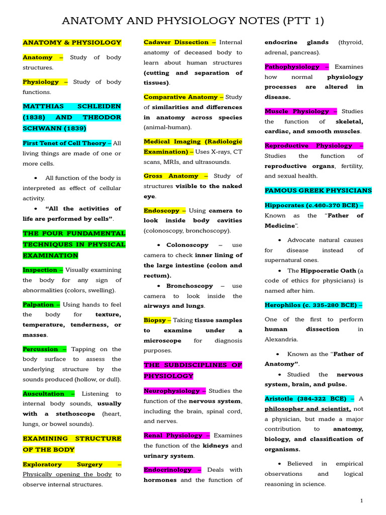 Anatomy and Physiology Overview Notes | PDF | Human Body | Anatomical ...