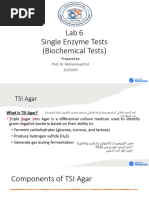 Triple Sugar Iron Agar Test Guide | PDF