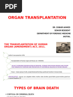 The Modified Sarnat Score in The Assessment of Neonatal Encephalopathy ...