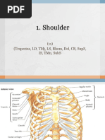 Shoulder MMT Techniques and ROM Guide | PDF | Anatomical Terms Of ...