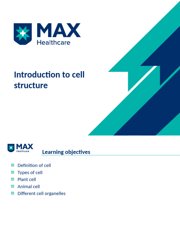 Understanding Cell Structure and Types | PDF | Cell (Biology) | Cell ...