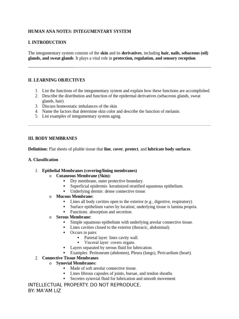 Integumentary System Notes | PDF | Skin | Integumentary System