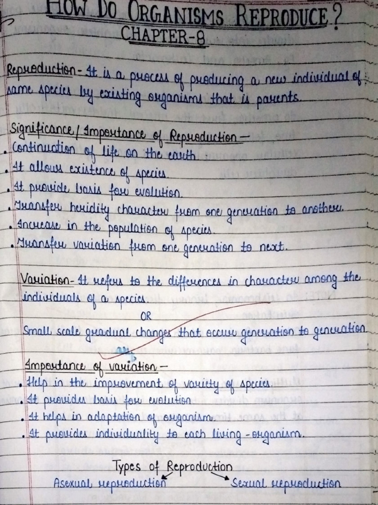 Reproductive System Overview | PDF