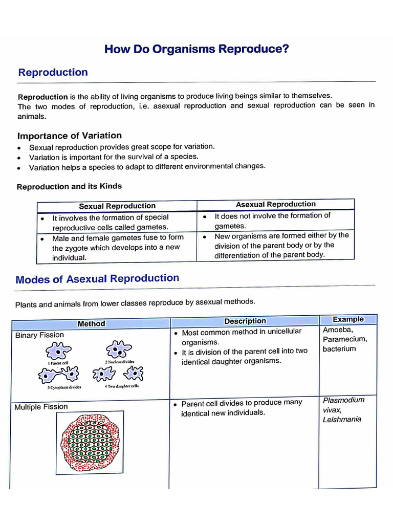 Reproduction | PDF