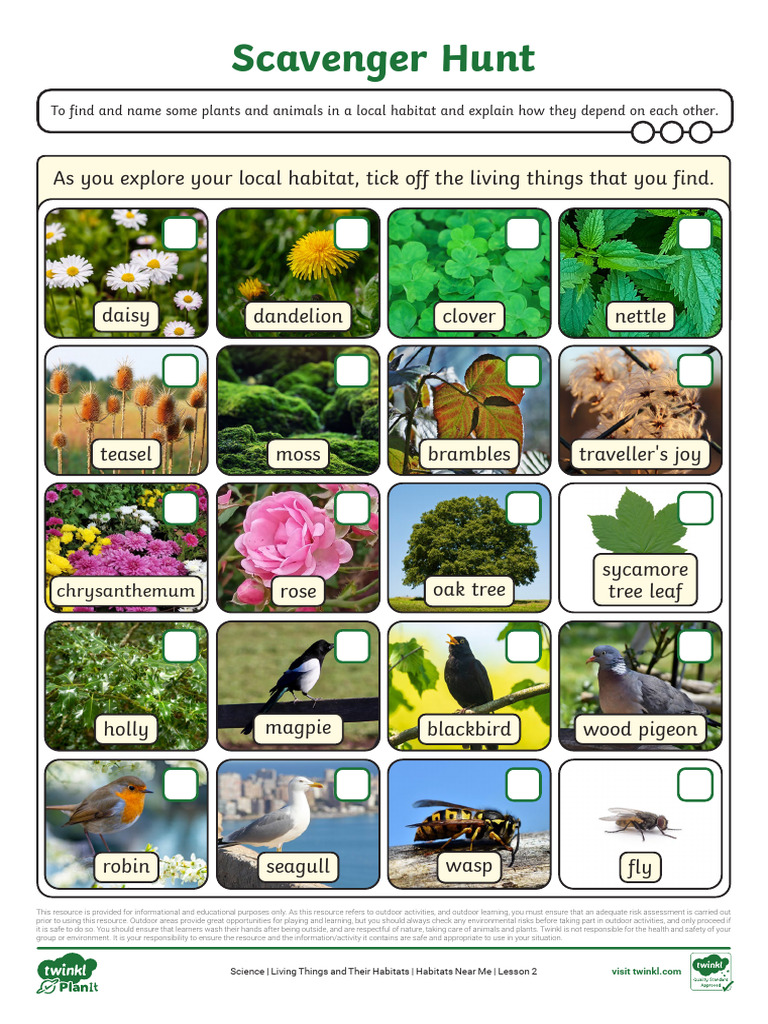 Scavenger Hunt Activity Sheet | PDF | Habitat
