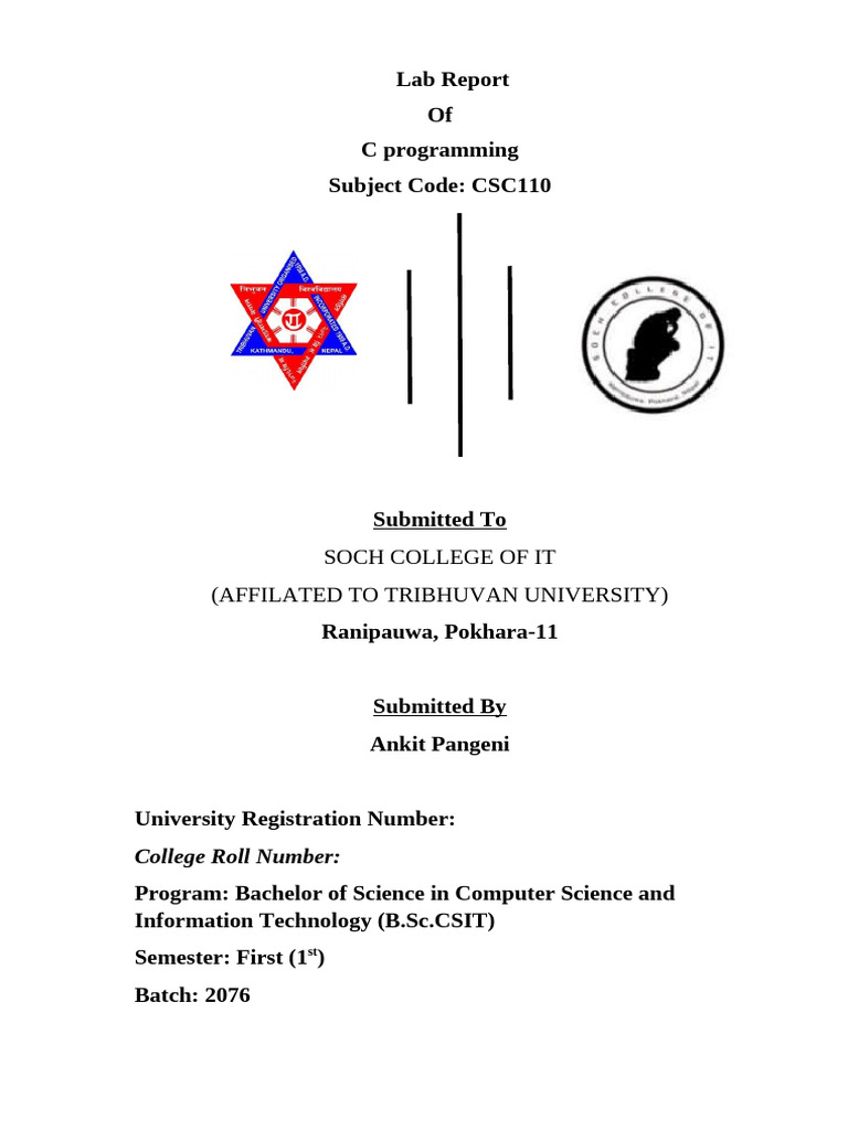 Lab Report Cover | PDF