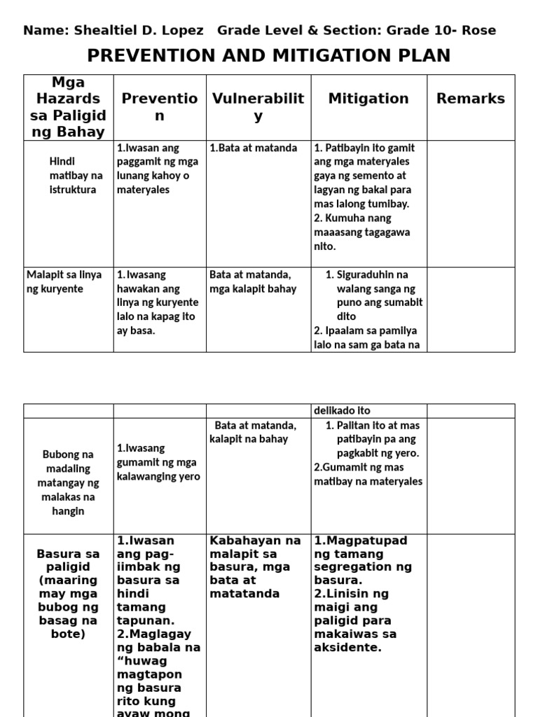 Prevention and Mitigation Plan | PDF