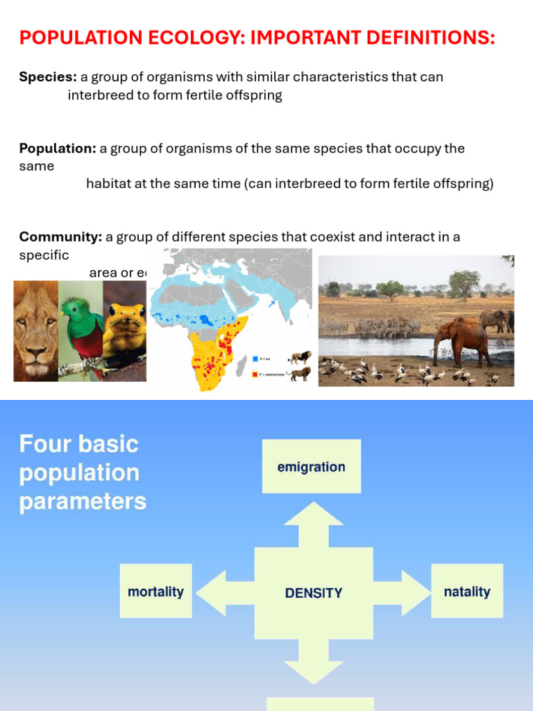 Population Ecology PP Printable AMMENDED | PDF | Ecological Niche ...