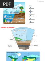 Biosphere To Ecosystem Grade 10 Life Sciences | PDF | Food Web | Soil