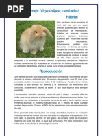 El Ciclo de Vida Del Conejo | PDF