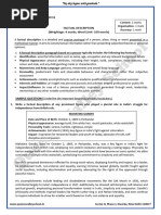 Factual Description Writing Guide | PDF