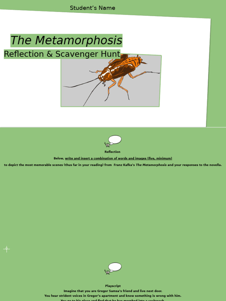 Metamorphosis Reflection & Scavenger Hunt | PDF
