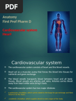 Human Heart Anatomy Overview | PDF | Heart | Heart Valve