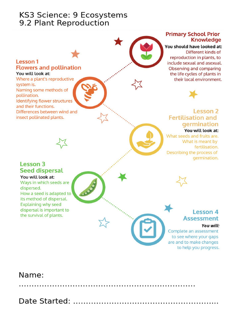 KS3 Plant Reproduction Booklet | PDF | Flowers | Pollination
