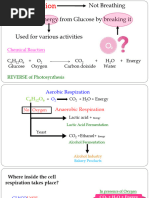 IGCSE Biology: Respiration Overview | PDF | Respiratory System ...