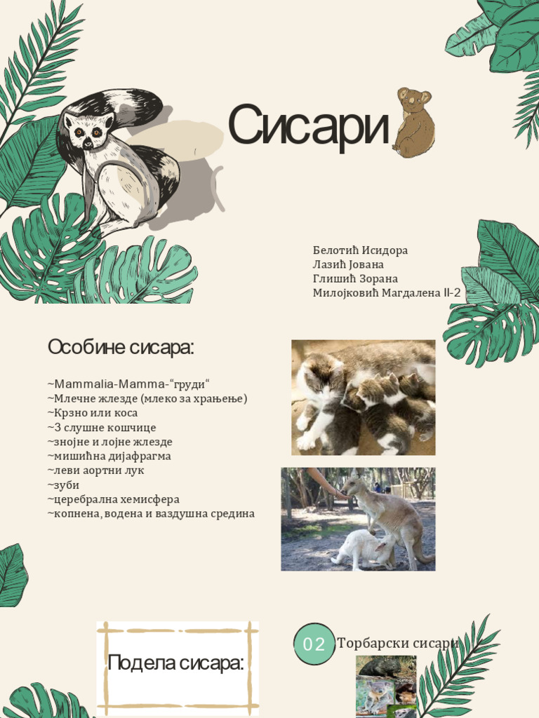 SISARI | PDF