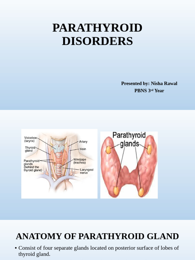 Parathyroid Disorders Overview and Management | PDF | Parathyroid Gland ...