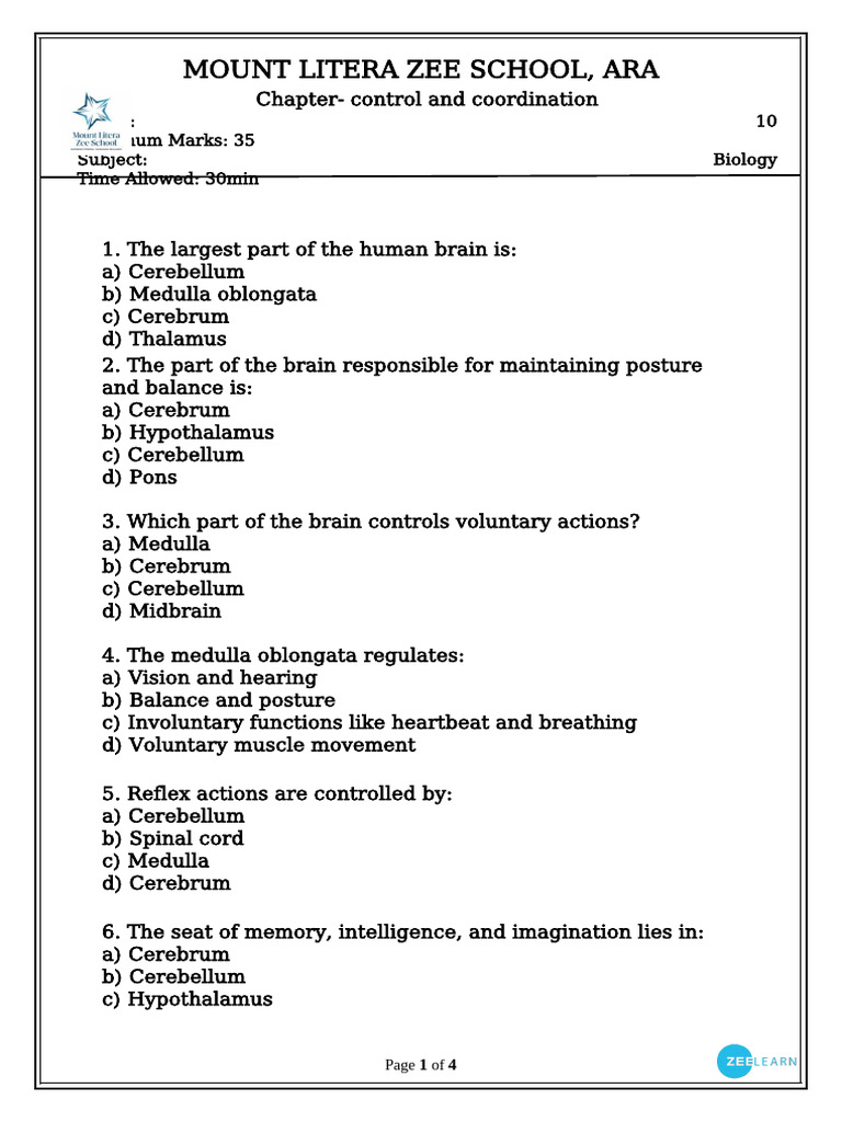 Question Paper Template-1 | PDF | Cerebrum | Brain