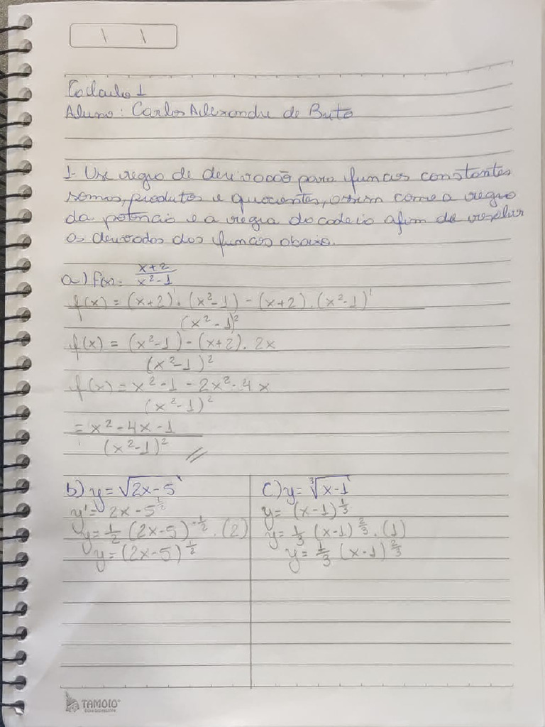 Atividade Calculo 1 Puc Pac | PDF