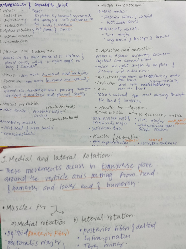 Movements of Shoulder Joint Notes | PDF | Musculoskeletal System ...