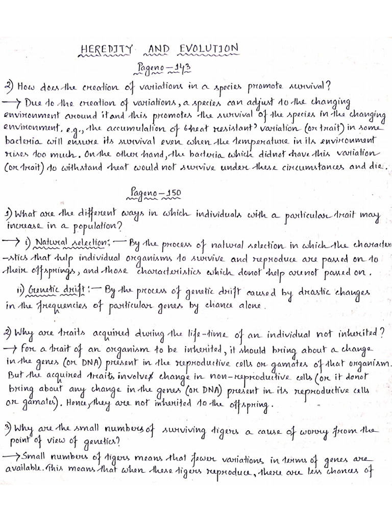 Class 10 Science Notes PDF | PDF