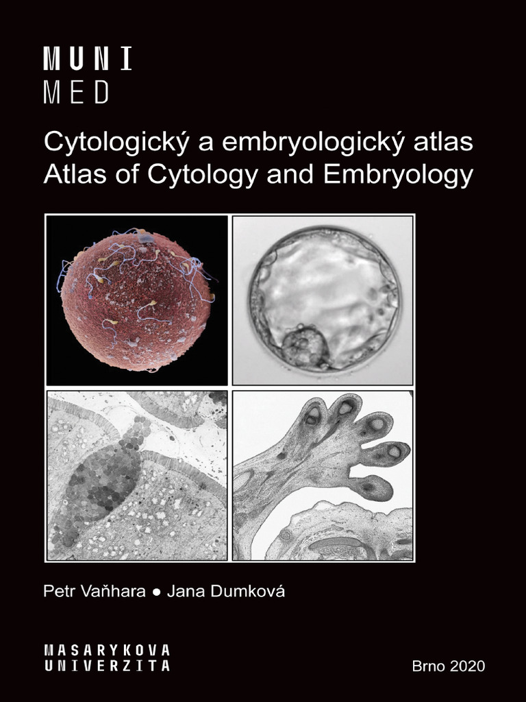 Atlas of Cytology and Embryology MUNI | PDF