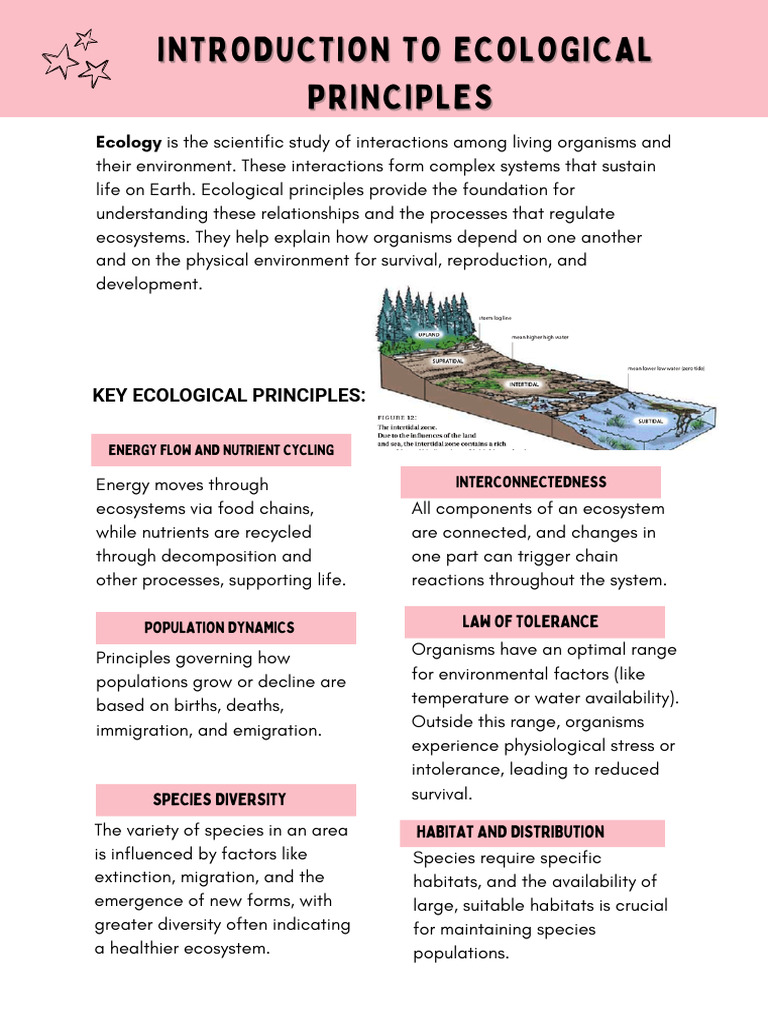 Key Ecological Principles Explained | PDF | Ecology | Ecosystem