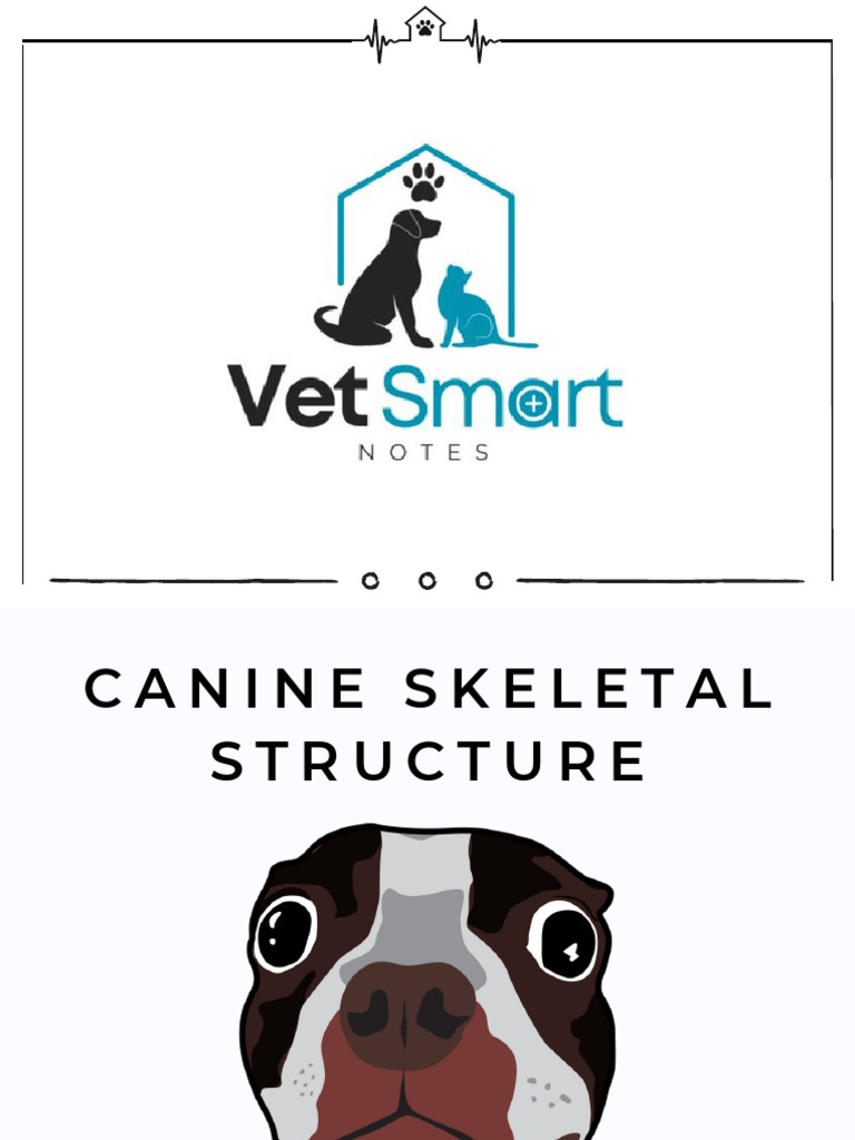 Canine Skeletal Structure (2) | PDF