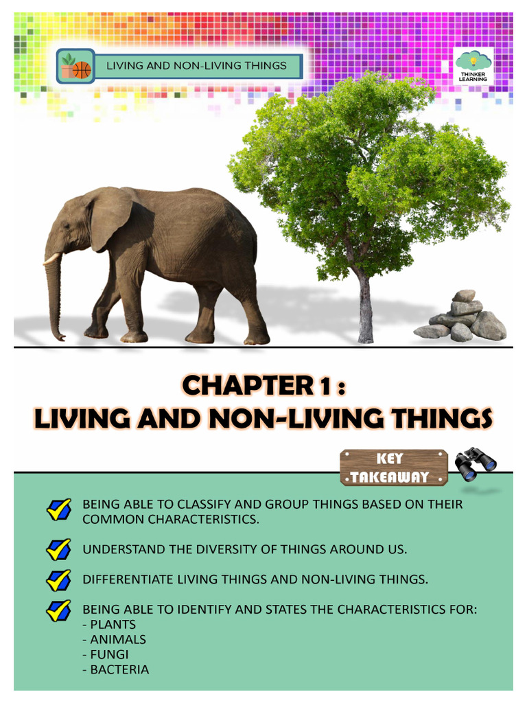 Chapter 1 - Living and Non-Living Things | PDF