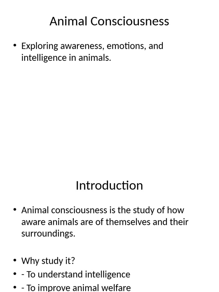 Animal_Consciousness | PDF
