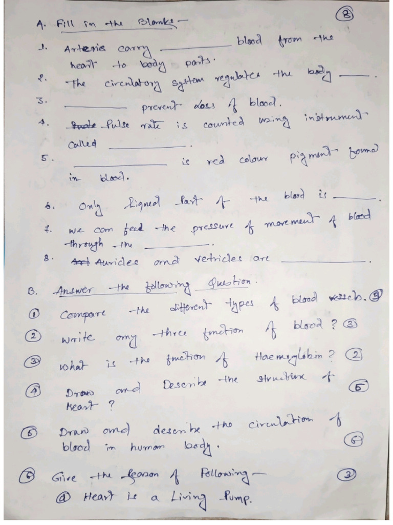 SC Class V Chapter 1 | PDF