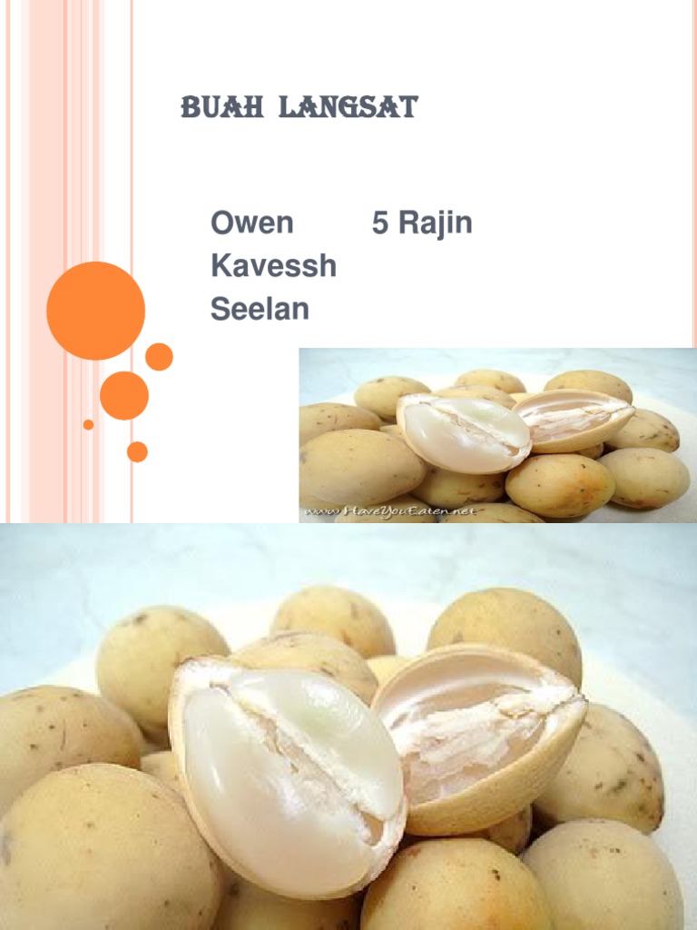 Buah Langsat | PDF