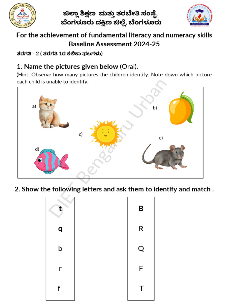 Baseline Literacy Assessment 2024-25 | PDF