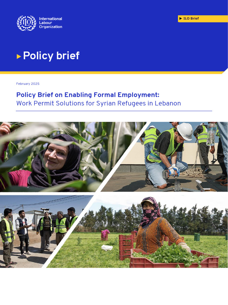 Policy BRIEF - Enabling Formal Employment Work Permit Solutions For ...