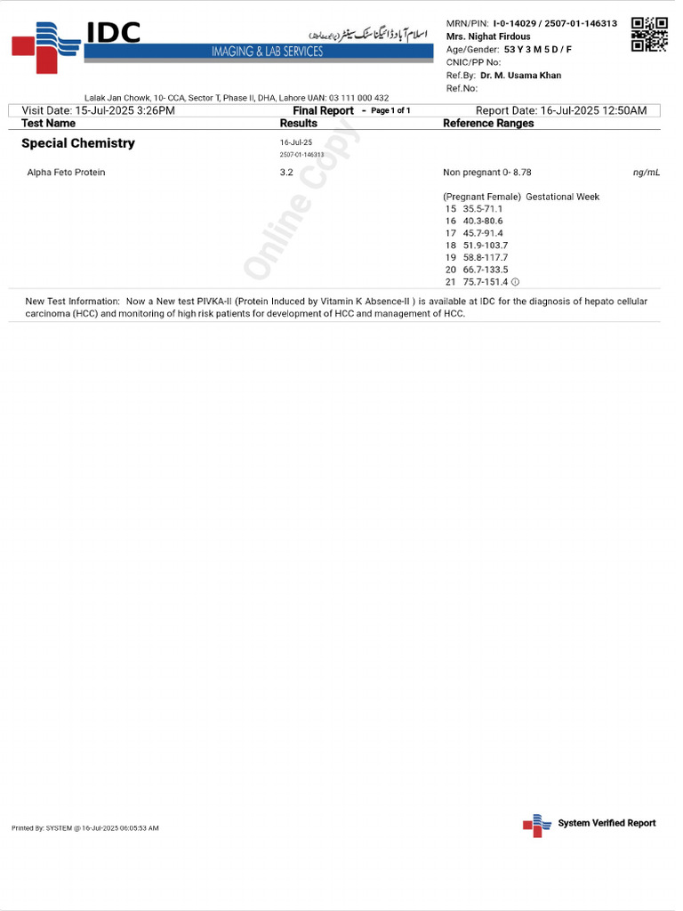 Patient Report PDF | PDF