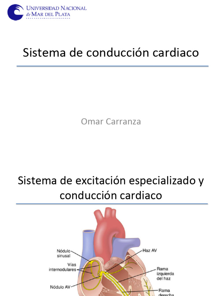 Nódulo Sinusal y Conducción Cardíaca | PDF