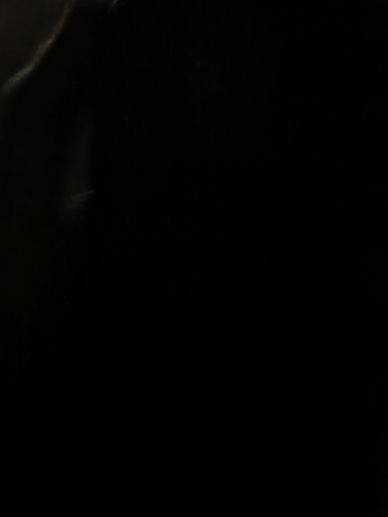 Downloadfile Bin | PDF