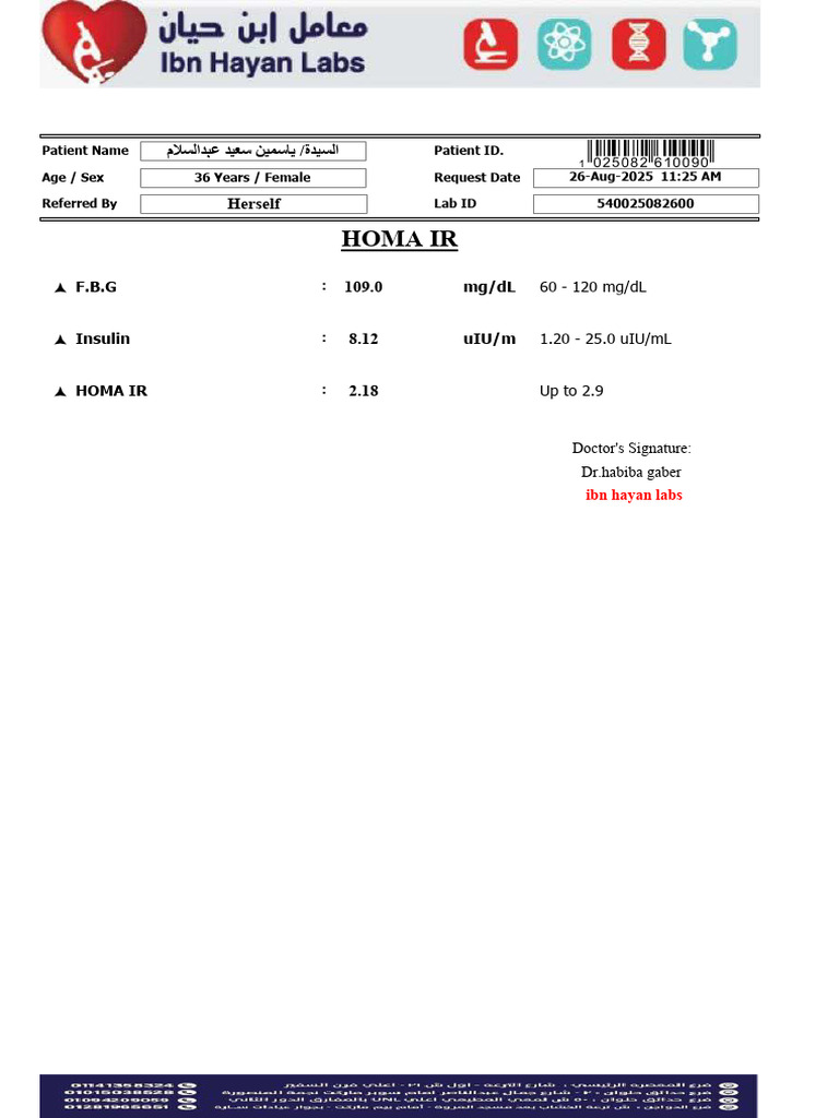 Any Report | PDF
