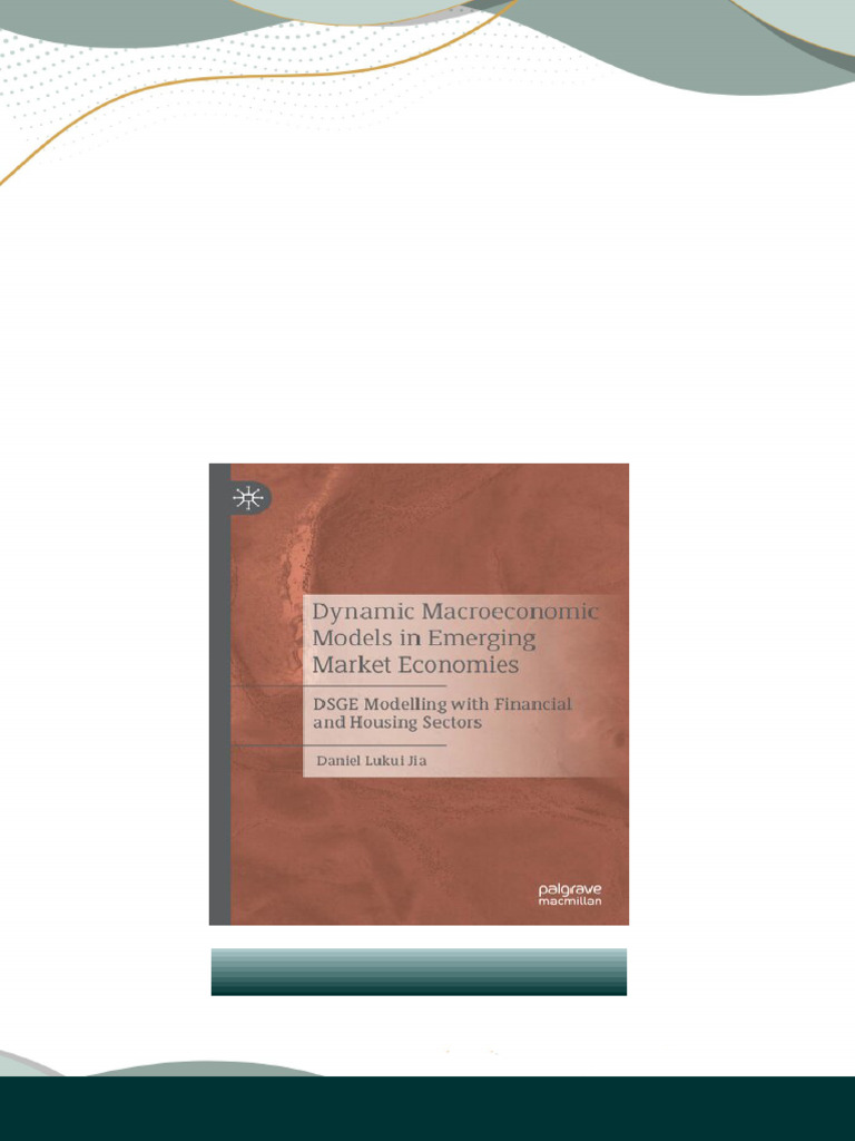 Dynamic Macroeconomic Models in Emerging Market Economies: DSGE Modelling With Financial and ...